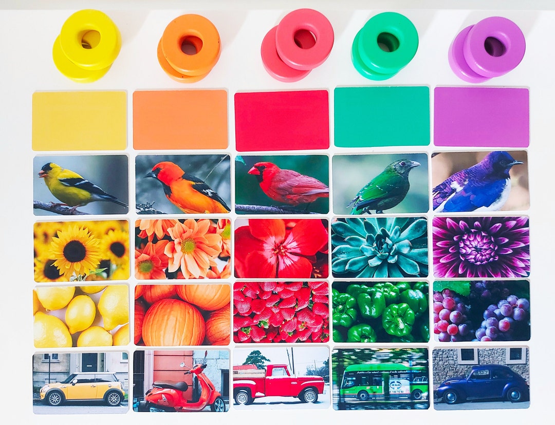 Printable Montessori Activity for Toddler Color Matching Photos for ...