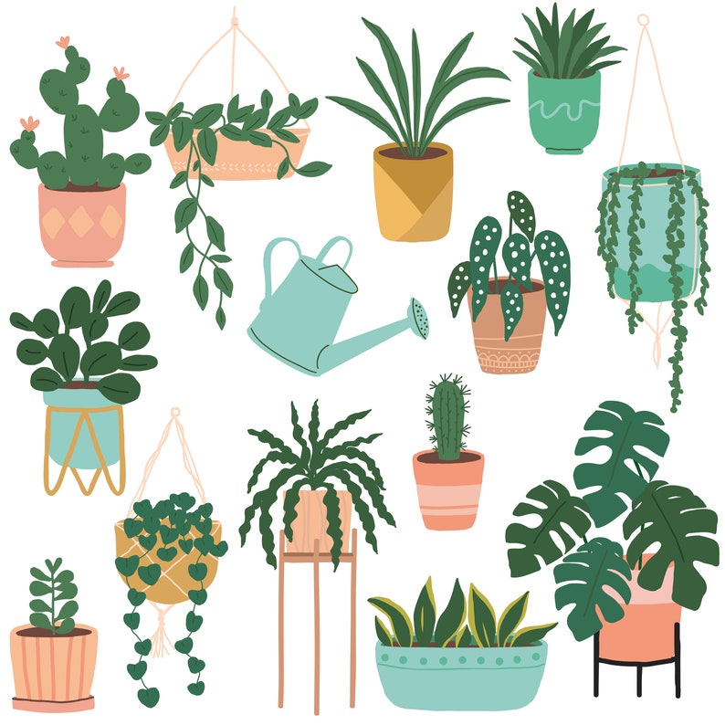House Plant Clip Art -urban Jungle Clip Art Set, Digital Printable ...