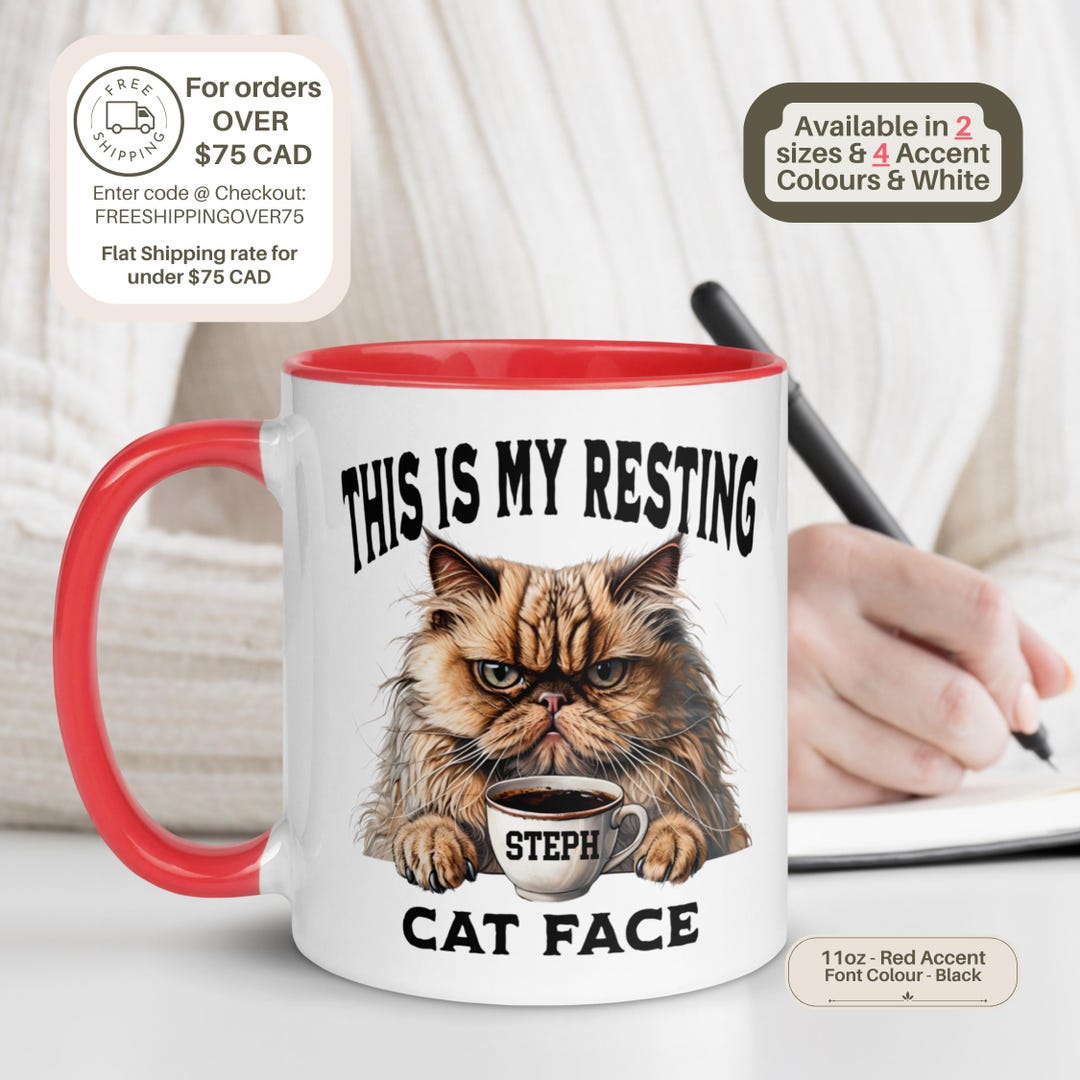 Custom Persian Cat Mug – Funny Grumpy Cat Coffee Cup With Name – RBF ...