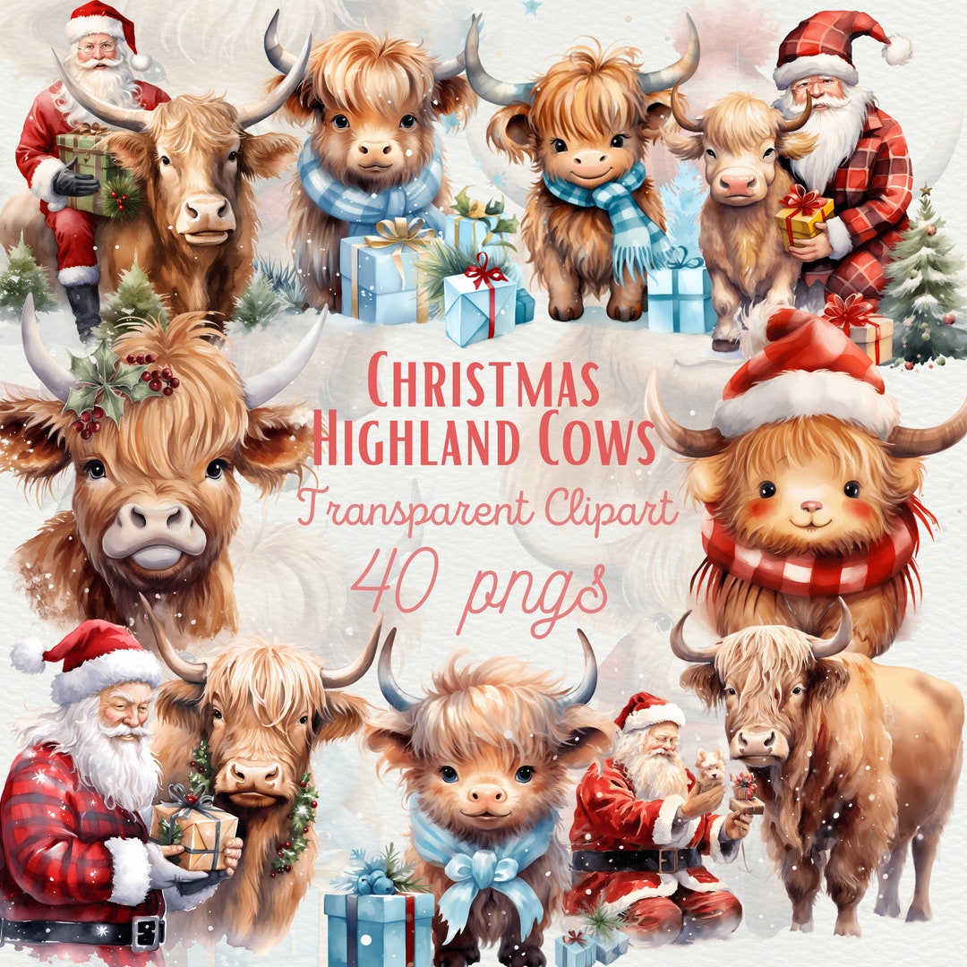 Baby Highland Cow Clipart PNG Watercolor Christmas Highland Cow Clipart ...