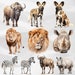 Watercolor Safari Animals Clipart Safari Baby Animals Jungle Animals ...