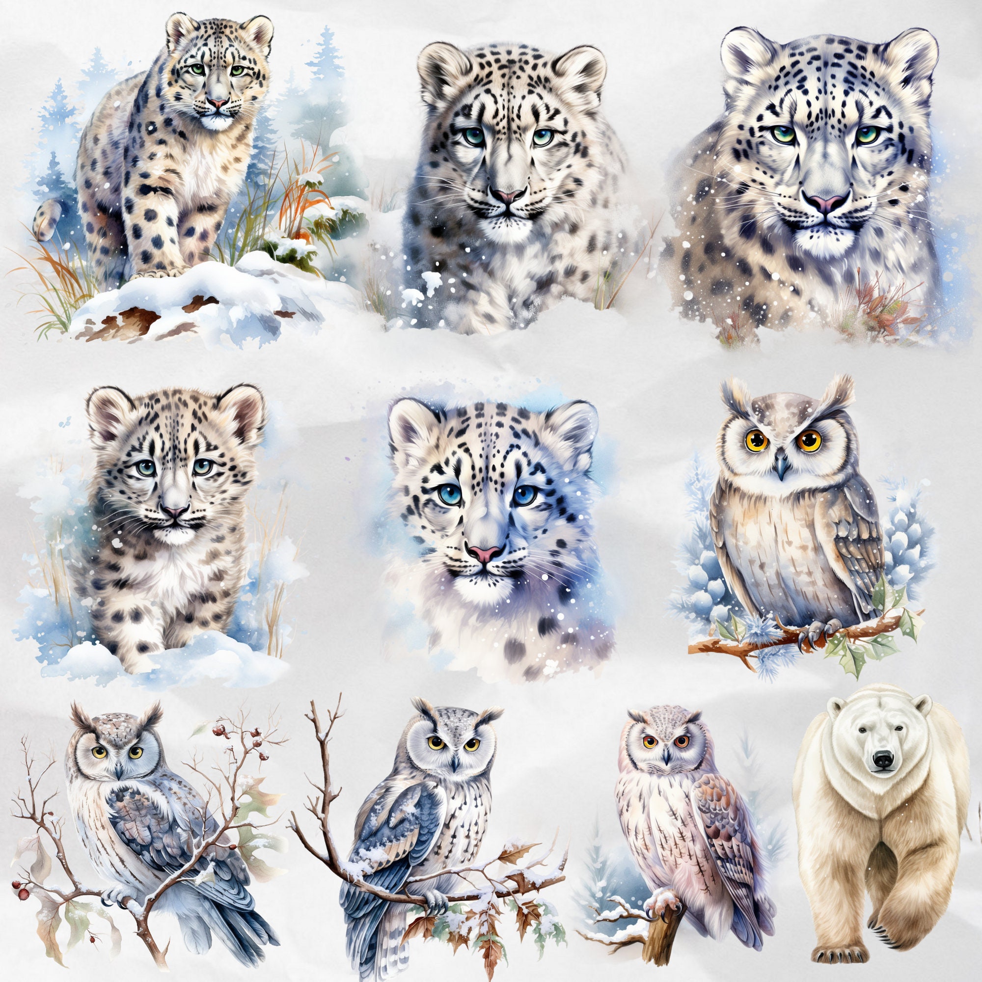 50 Watercolor Winter Animals Clipart Winter Woodland Animal PNG ...