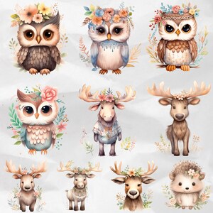 Boho Woodland Animals Clipart Cute Watercolor Animals Clipart Cute ...