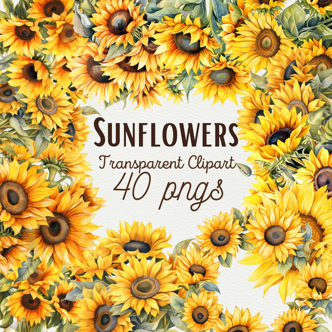 Watercolor Sunflower PNG Clipart Watercolor Floral Clipart Bouquet ...