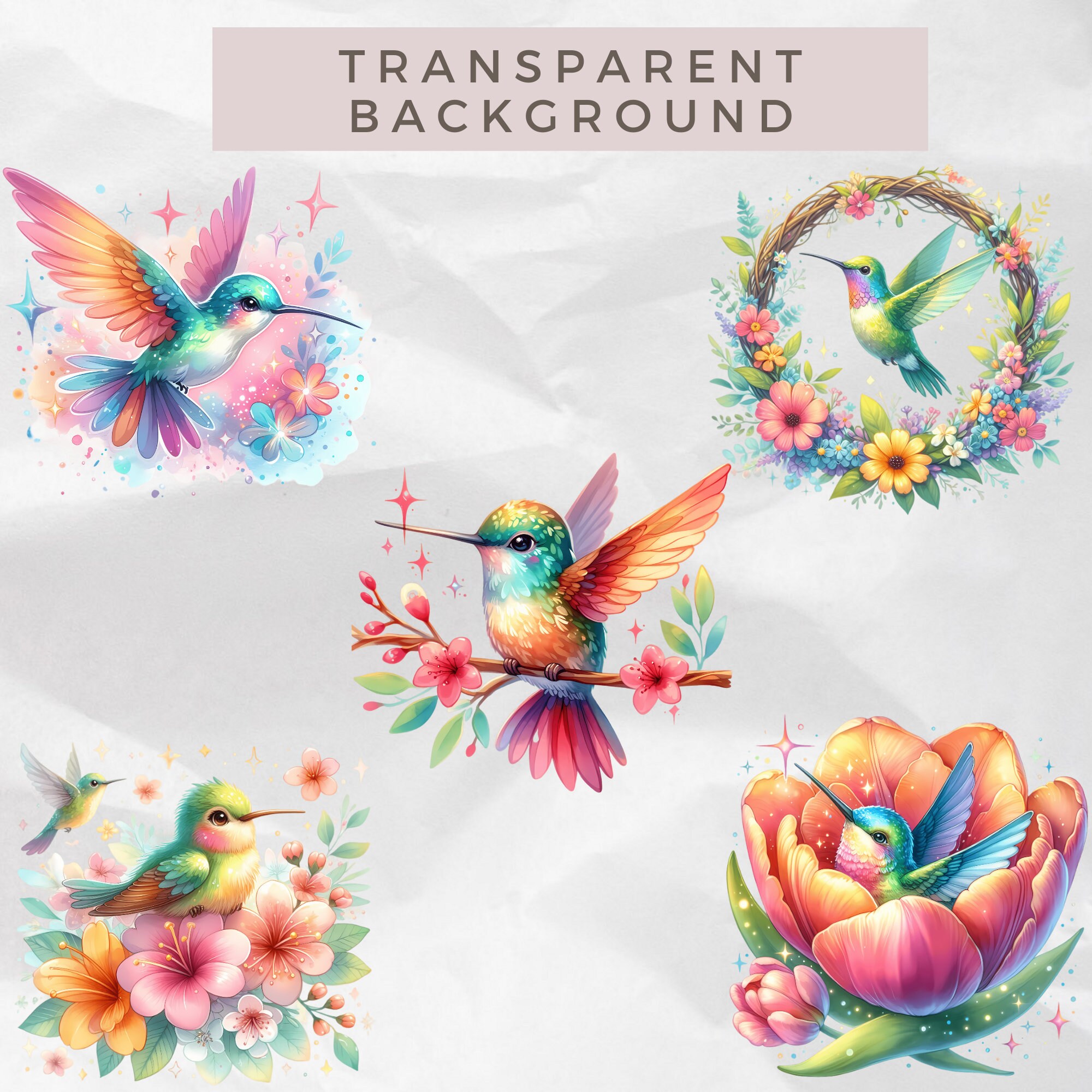 Watercolor Hummingbird Clipart Hummingbird PNG Floral Bird Clipart ...