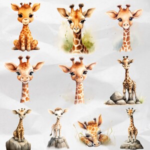 40 Watercolor Cute Giraffe Clipart Cute Giraffe Graphics Cute Safari ...
