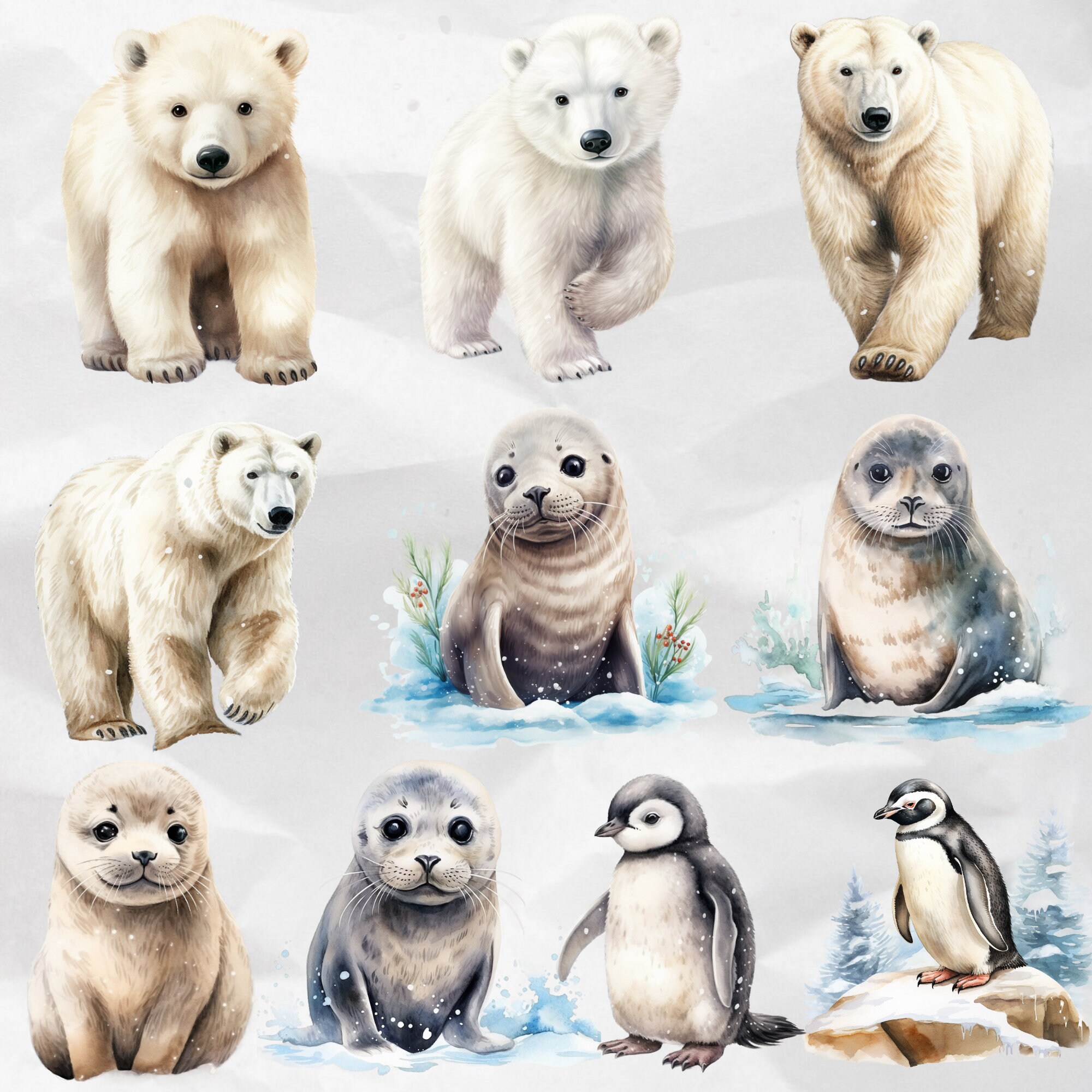 50 Watercolor Winter Animals Clipart Winter Woodland Animal PNG ...
