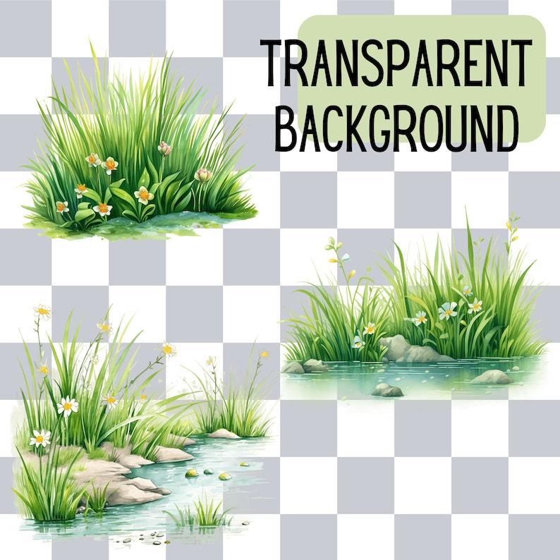 Watercolor Grass Clipart Bundle Botanical Grass Borders PNG Spring ...