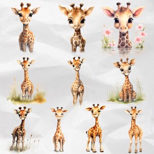 40 Watercolor Cute Giraffe Clipart Cute Giraffe Graphics Cute Safari ...