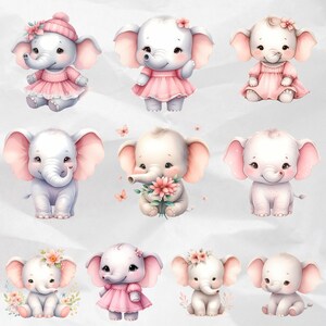 Cute Baby Elephant Clipart Floral Elephants PNG Baby Shower Rainbow ...
