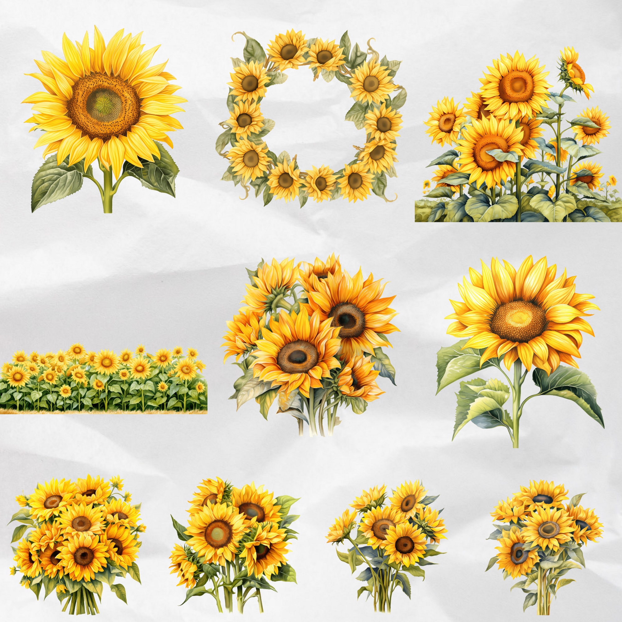 Watercolor Sunflower PNG Clipart Watercolor Floral Clipart Bouquet ...