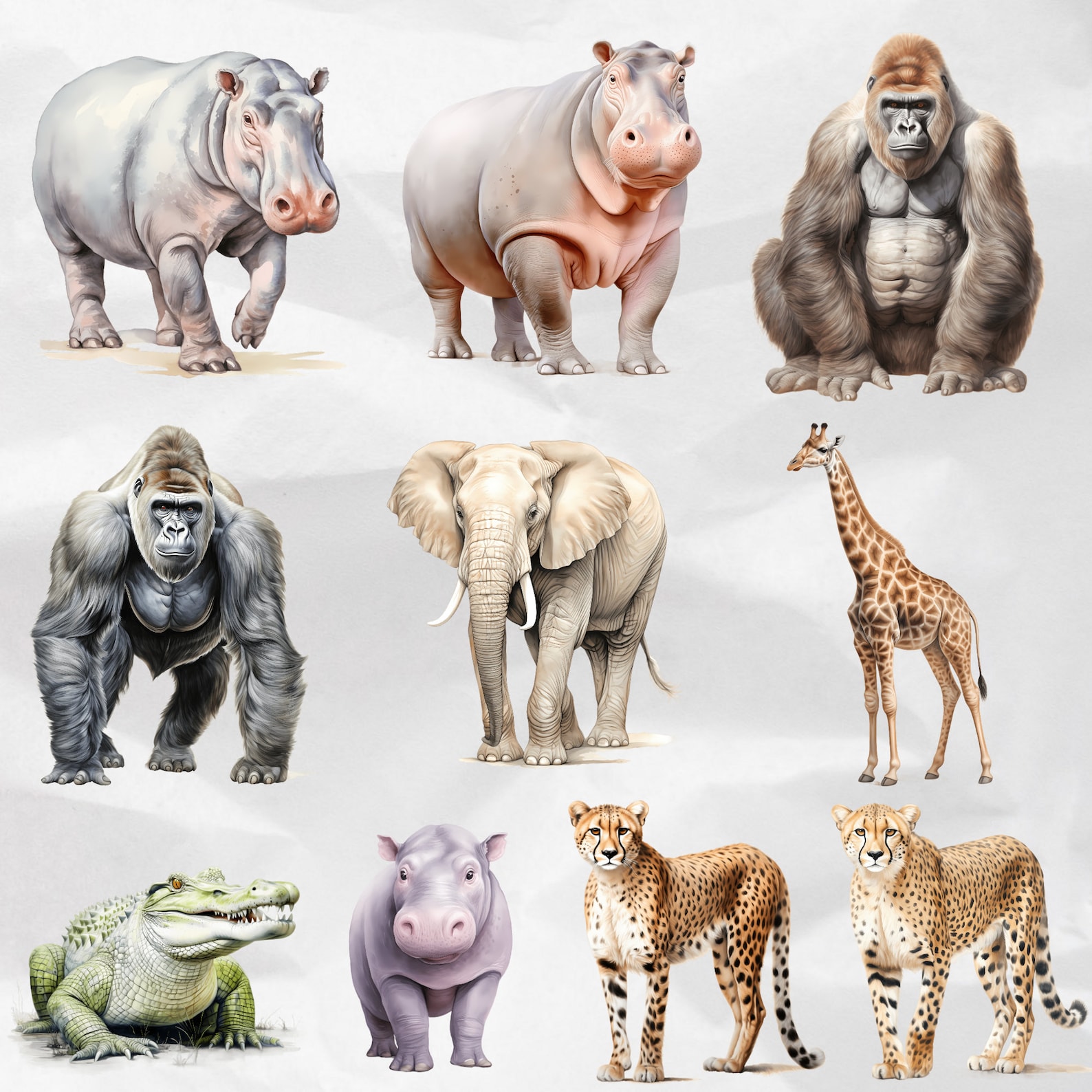 Watercolor Safari Animals Clipart Safari Baby Animals Jungle Animals ...