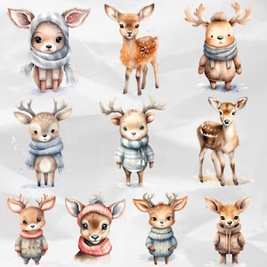 Cute Watercolor Reindeer PNG Winter Reindeer Clipart Holiday Reindeer ...
