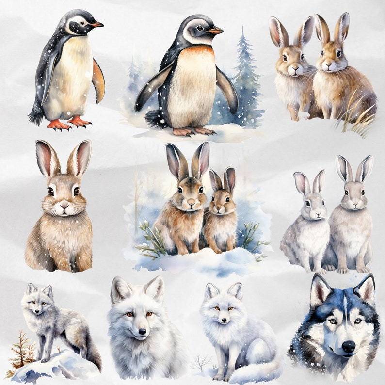 50 Watercolor Winter Animals Clipart Winter Woodland Animal PNG ...