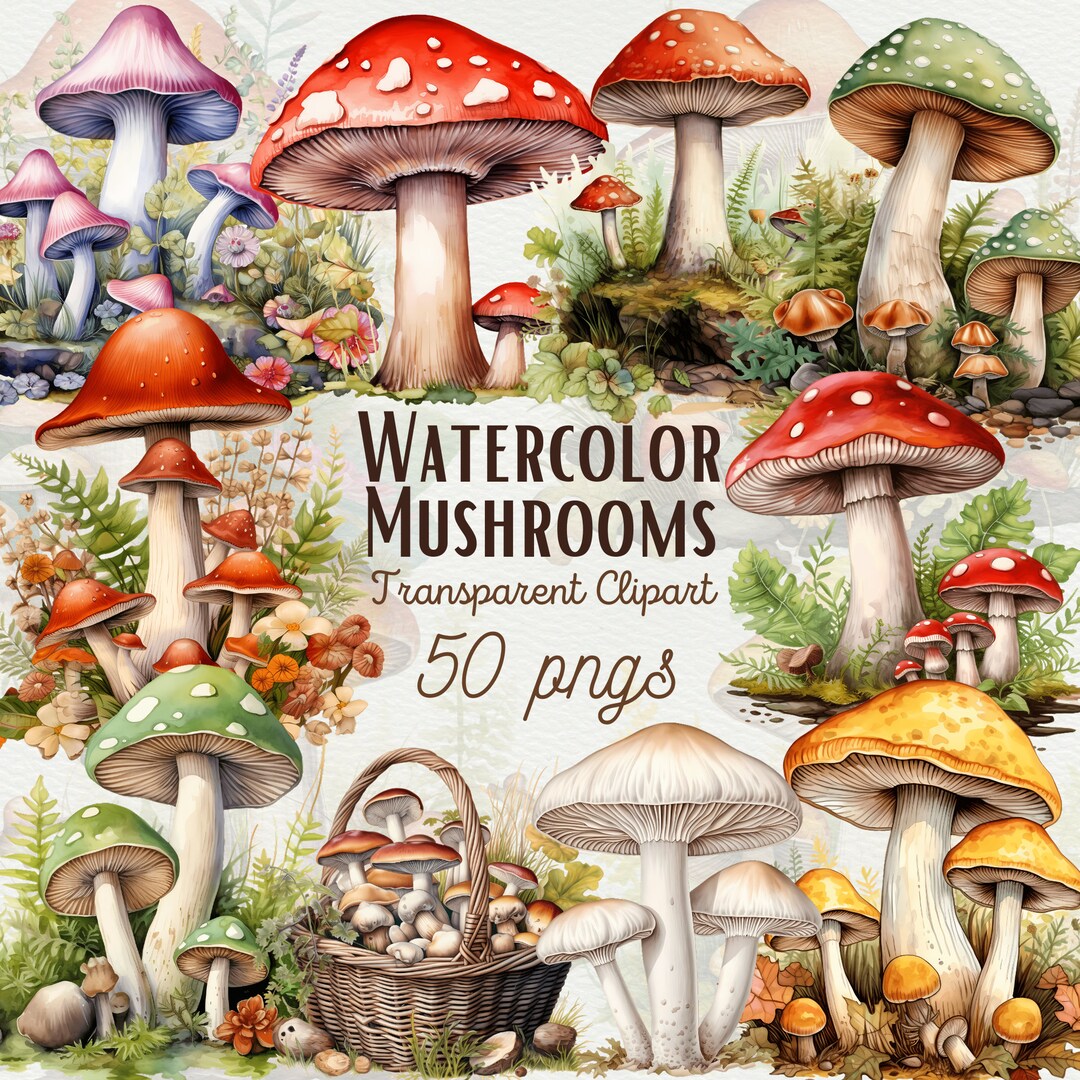 Watercolor Mushroom Clipart PNG Toadstool Mushroom Clipart Nature ...