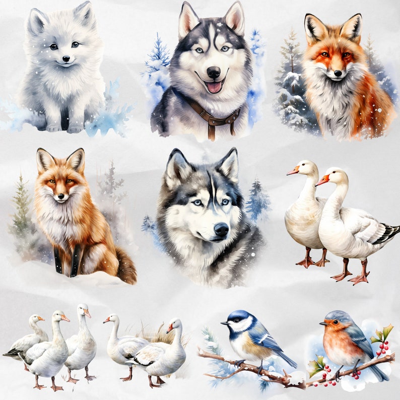 50 Watercolor Winter Animals Clipart Winter Woodland Animal PNG ...