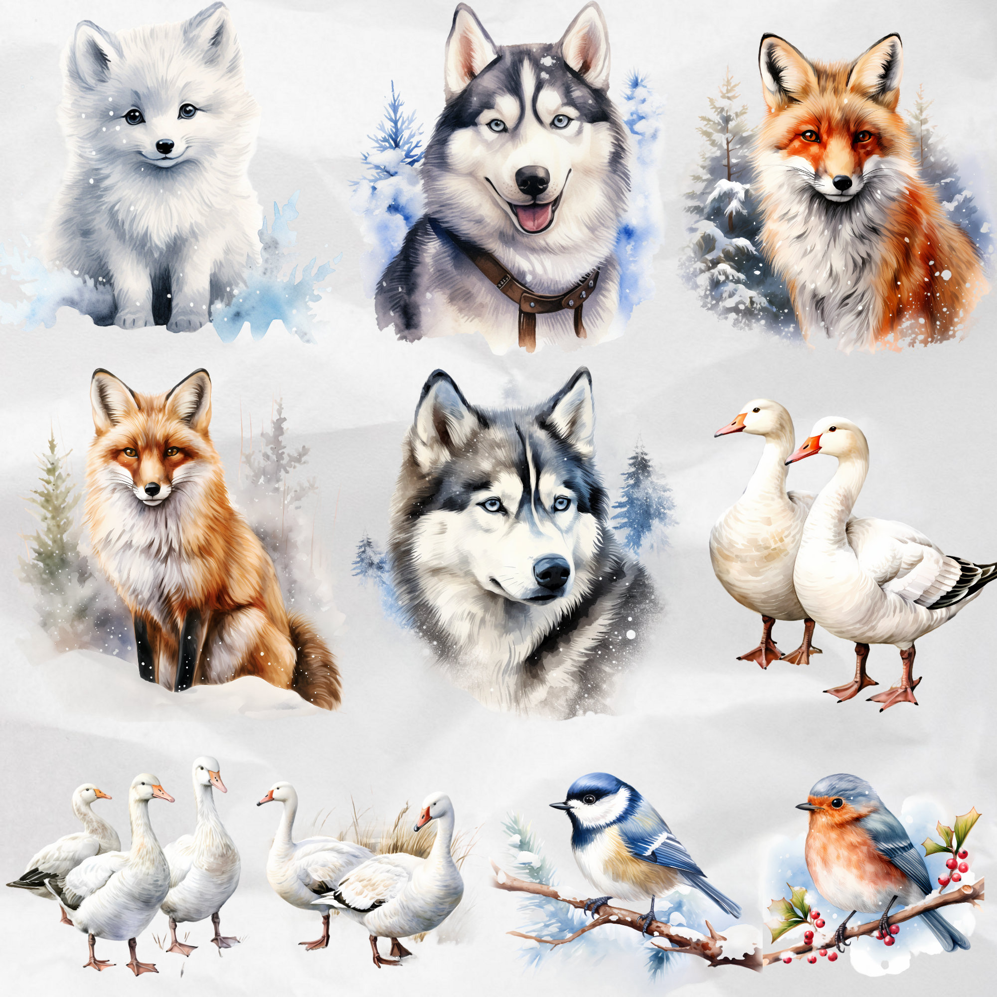 50 Watercolor Winter Animals Clipart Winter Woodland Animal PNG ...