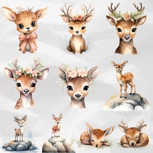 Cute Watercolor Deer Clipart PNG Watercolor Woodland Deer Clipart ...
