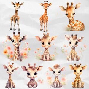 40 Watercolor Cute Giraffe Clipart Cute Giraffe Graphics Cute Safari ...