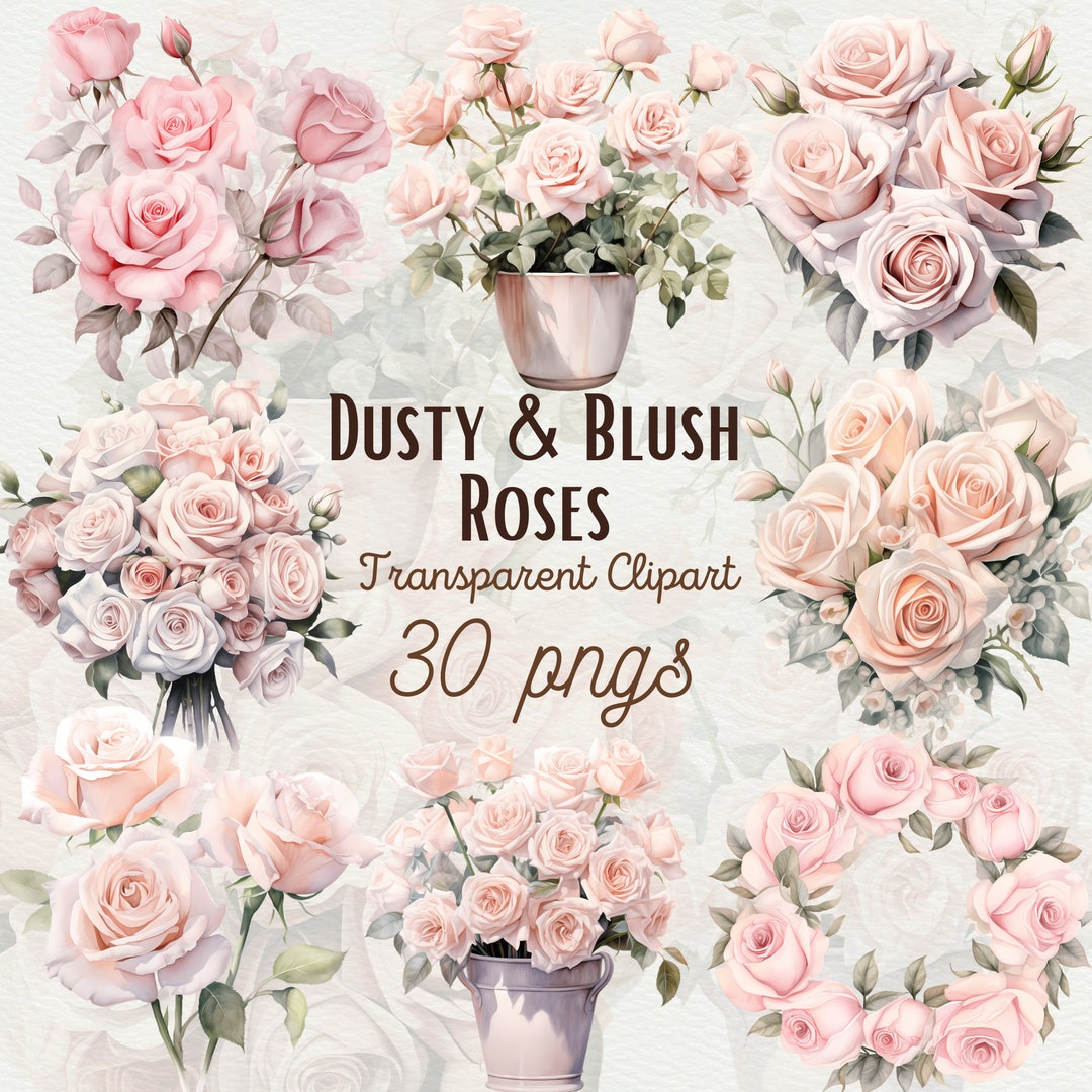Dusty Rose Clipart Floral Rose PNG Graphic Watercolor Roses PNG Dusty ...