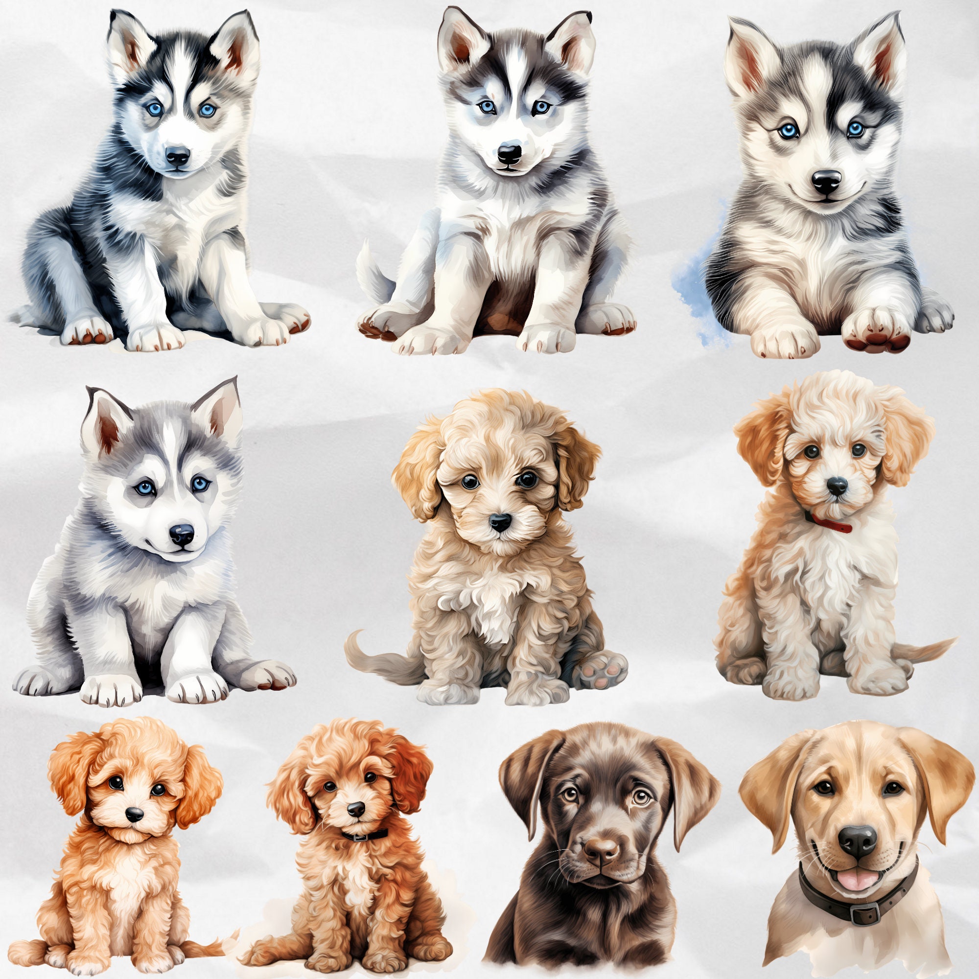 Cute Puppy Dogs Clipart Watercolor Dog Illustrations Dog Breeds PNG ...