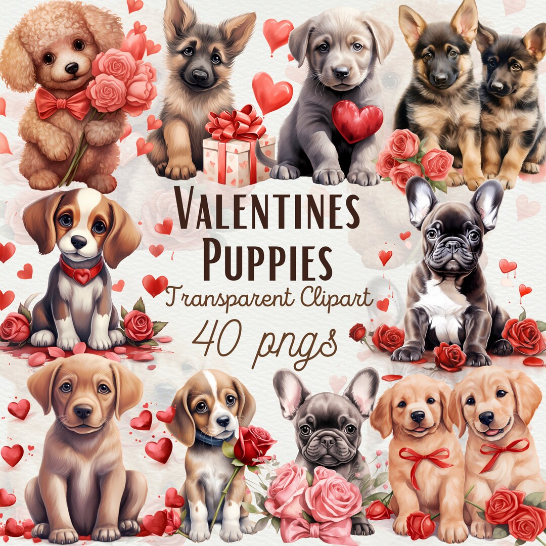 Watercolor Valentines Puppies Clipart 40 PNG Valentines Day Clipart ...