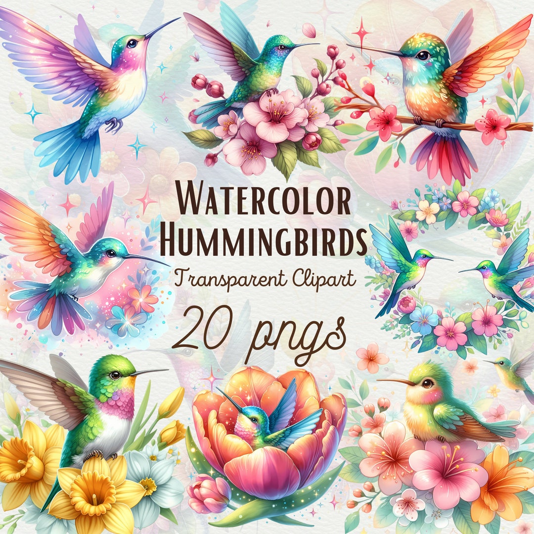 Watercolor Hummingbird Clipart Hummingbird PNG Floral Bird Clipart ...