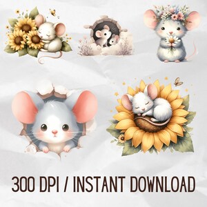 Watercolor Floral Mouse Clipart Summer Mouse PNG Clipart Watercolor ...