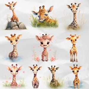 40 Watercolor Cute Giraffe Clipart Cute Giraffe Graphics Cute Safari ...