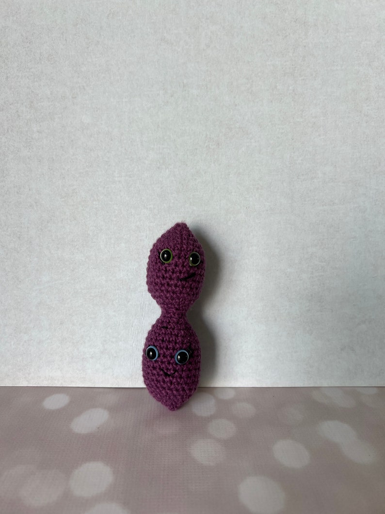 CROCHET PDF PATTERN Eng File: Streptococcus Pyogenes & Streptococcus ...