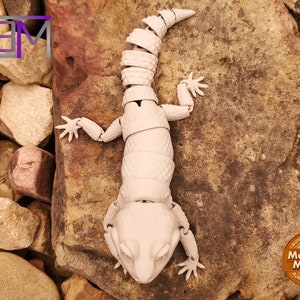 Realistic Leopard Gecko 3D Printed Articulated Fidget Toy - Etsy