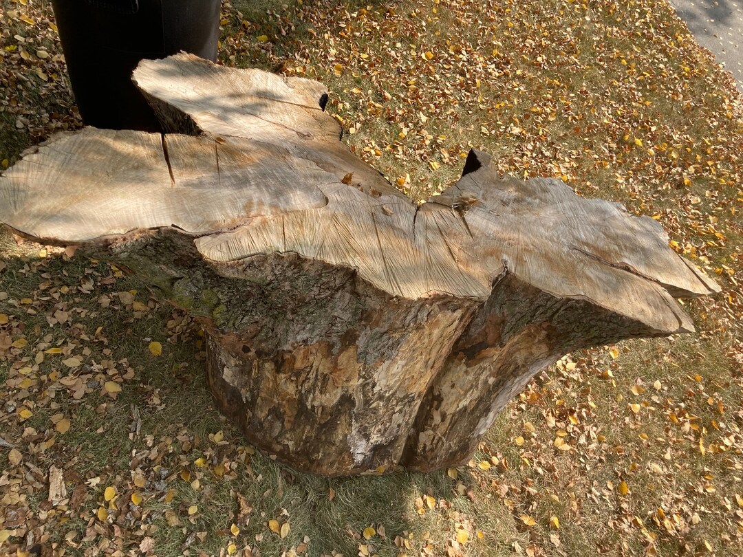 Exquisite Gong Fu Cha Tea Tables for the Ultimate Tea Ceremony ...