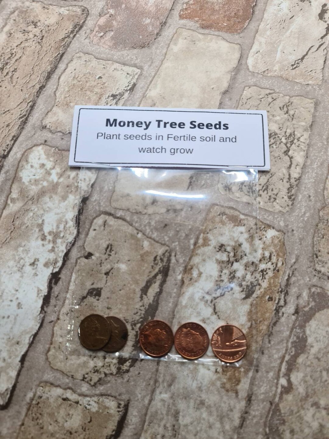 Money Tree Seeds, Birthday Joke Present, Gift for Him or Her, Birthday ...