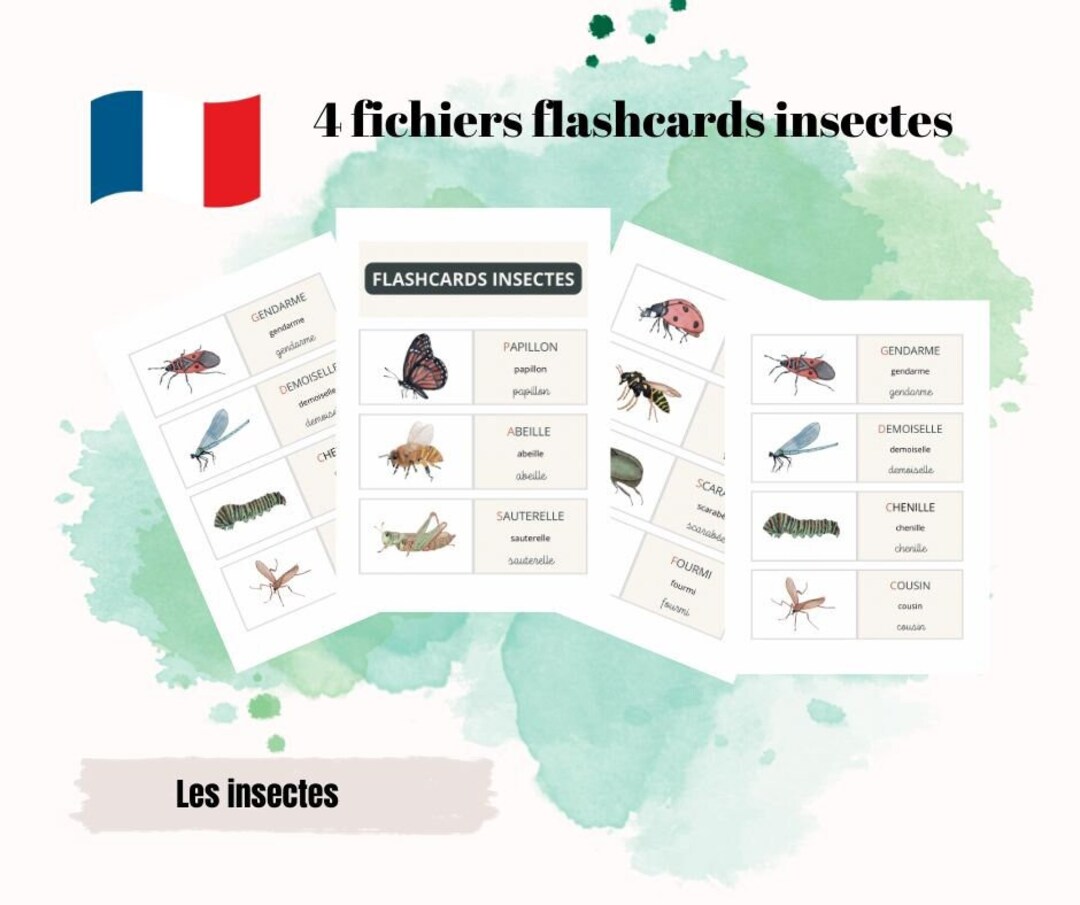 Tarjetas didácticas de insectos - Etsy España