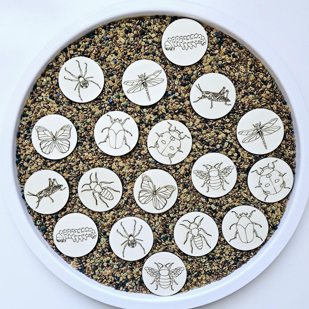 Insect and Spider Matching Game Craft (hand Drawn) - Etsy