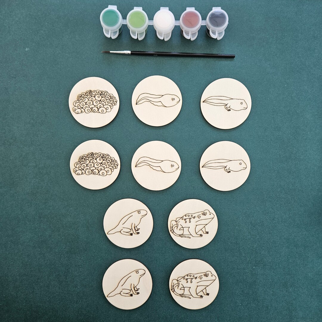 DIY Frog Lifecycle Matching Game Craft (hand Drawn) - Etsy
