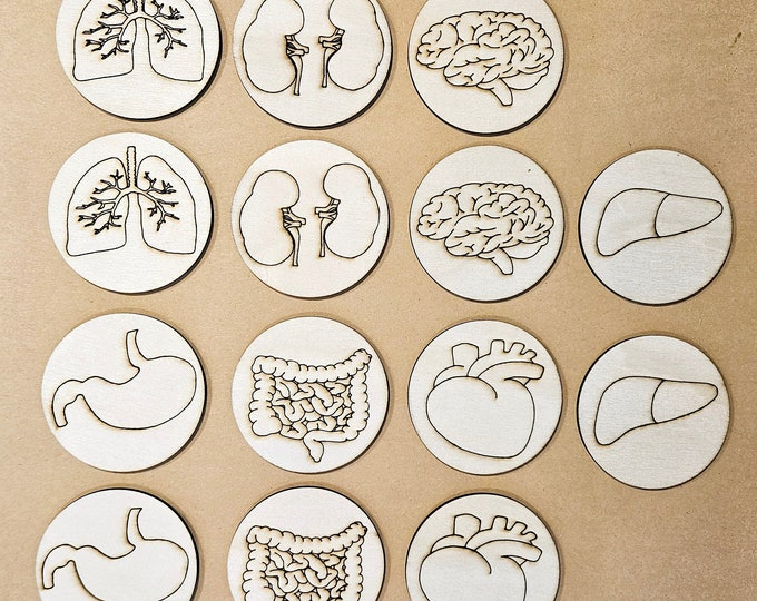 DIY Human Body Matching Craft hand Drawn Organs - Etsy