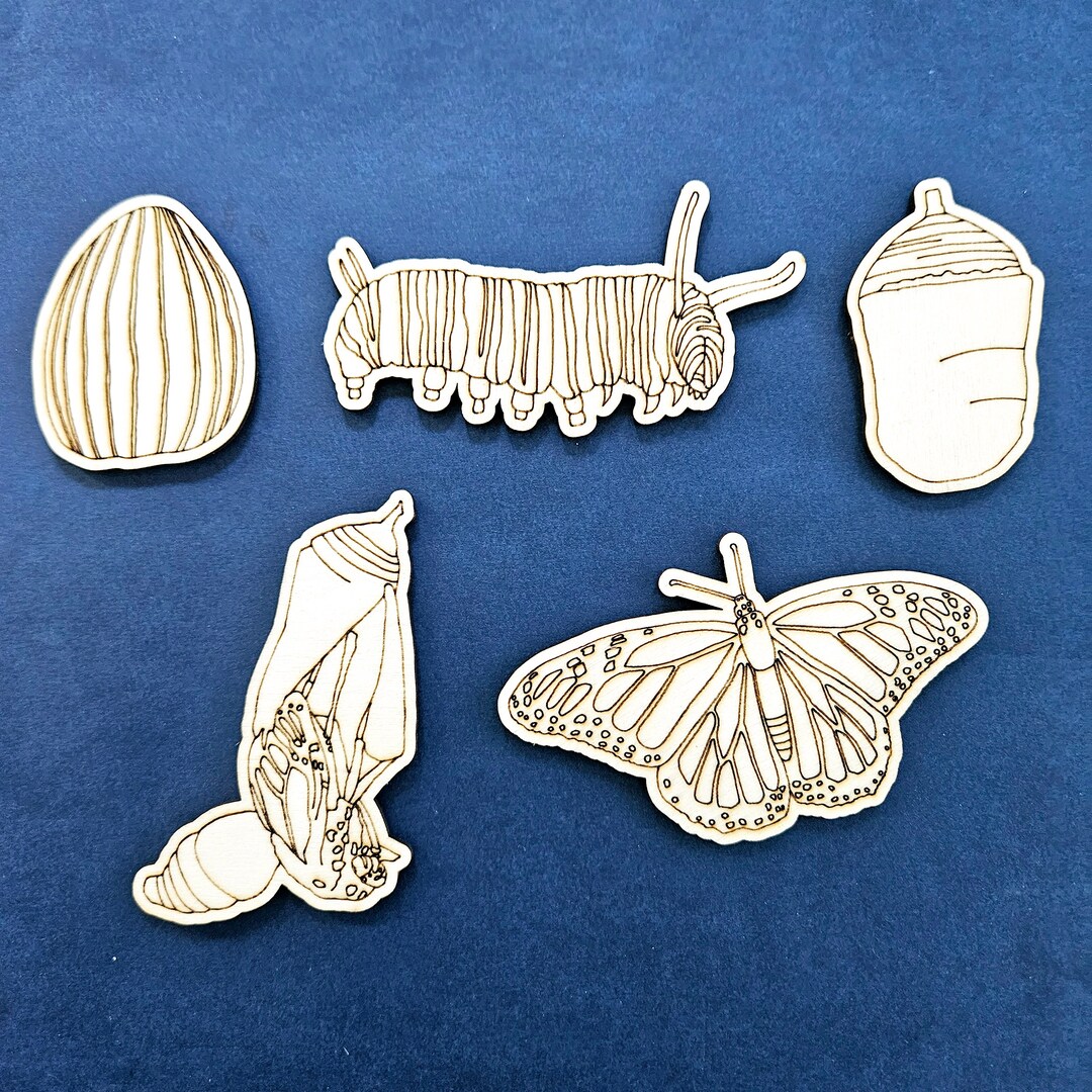 Monarch Butterfly Lifecycle, Sensory Play Shapes (hand Drawn) - Etsy