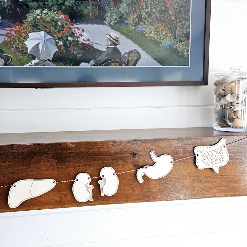 DIY Human Organs Educational Wood Garland Craft hand Drawn Paint and ...