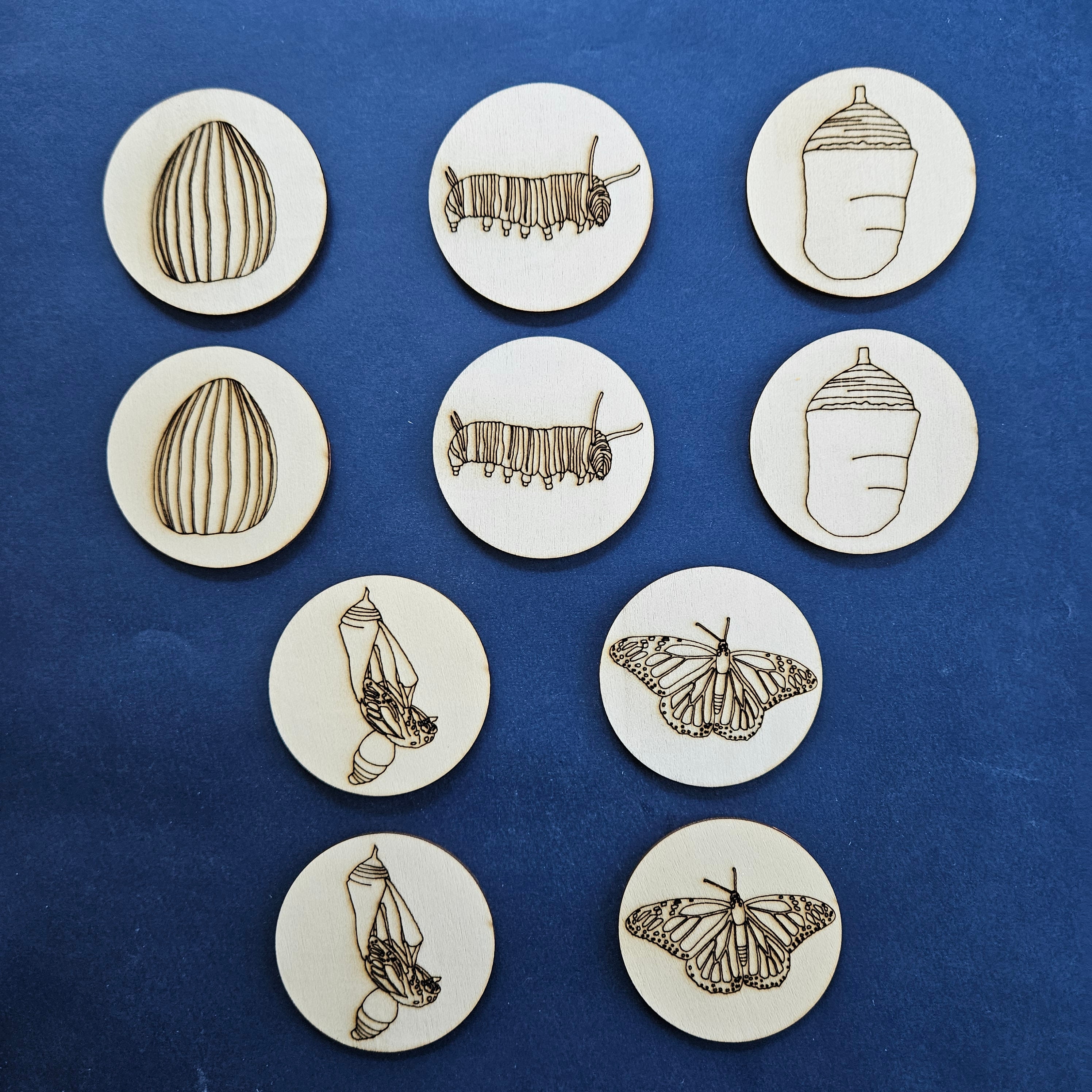 DIY Monarch Butterfly Lifecycle Matching Game Craft (hand Drawn) - Etsy