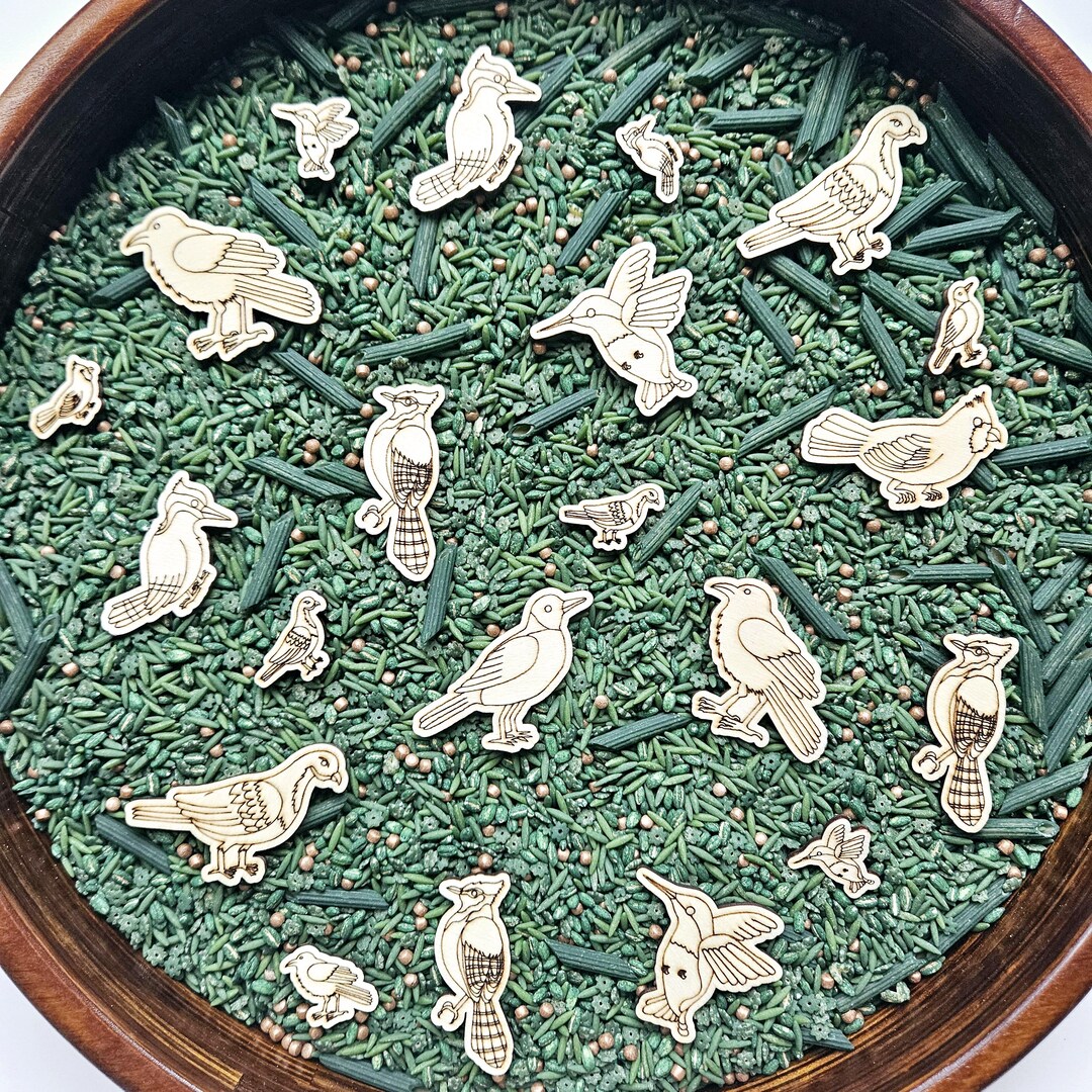 Backyard Birds Math Counters (hand Drawn) - Etsy