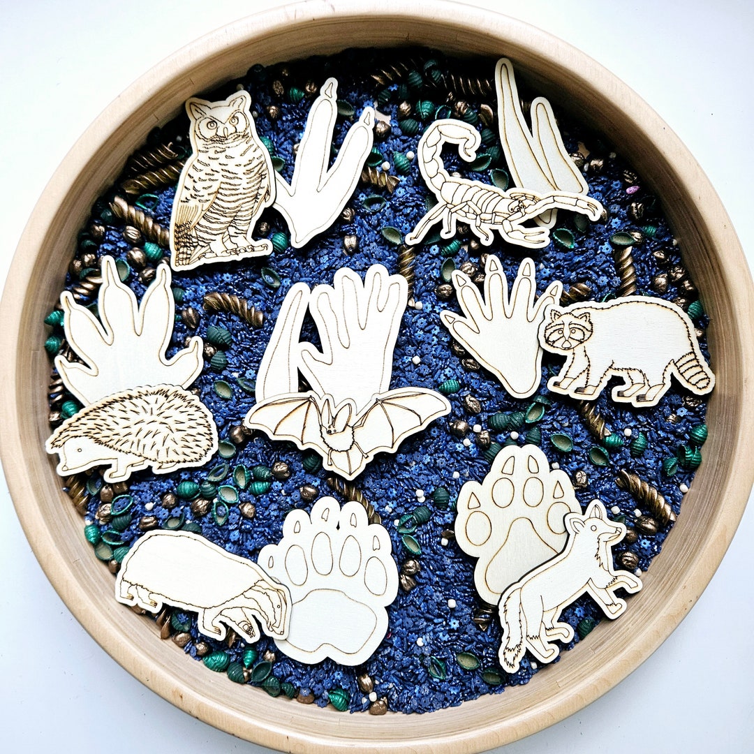 Nocturnal Animal Sensory Play Shapes (hand Drawn) - Etsy