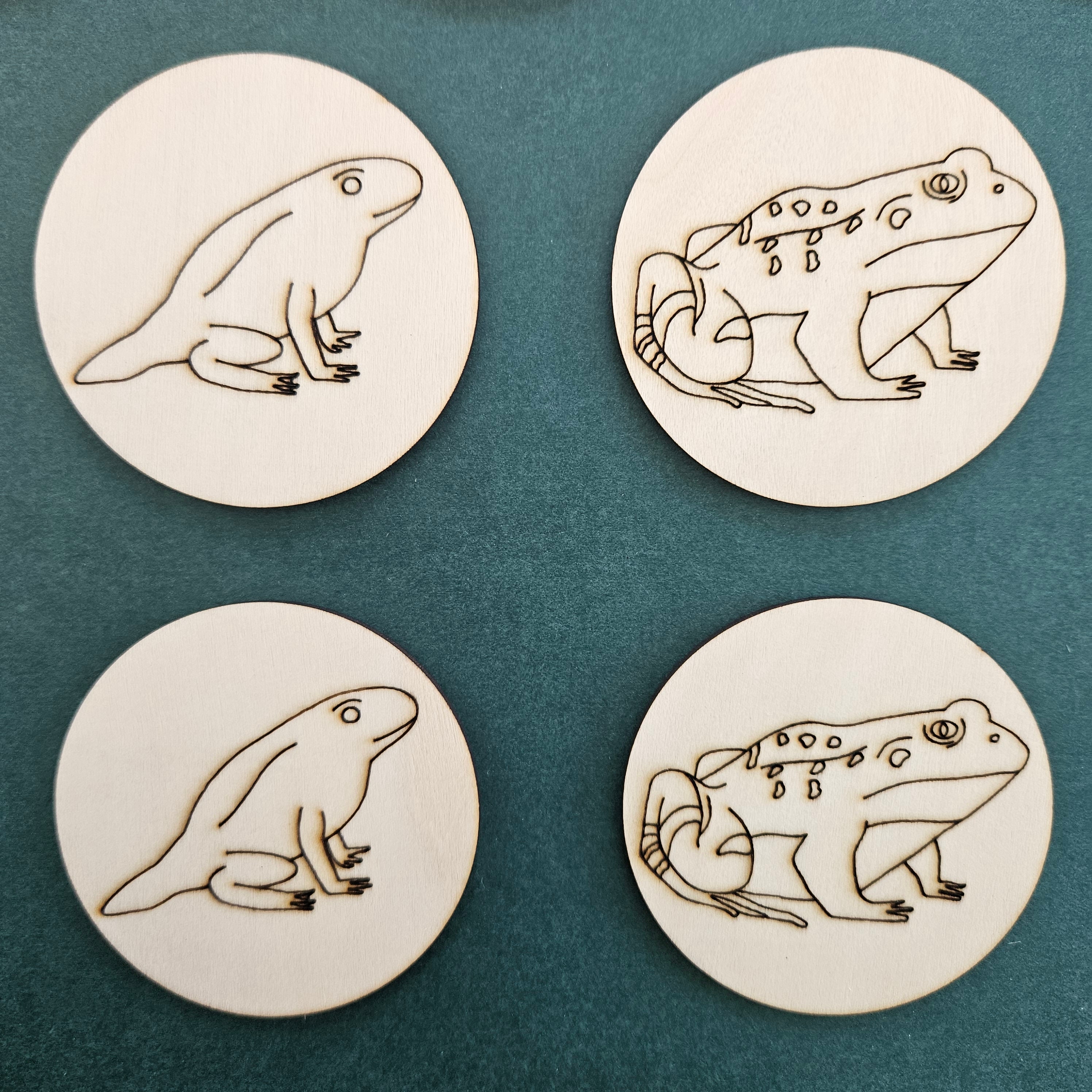 DIY Frog Lifecycle Matching Game Craft (hand Drawn) - Etsy