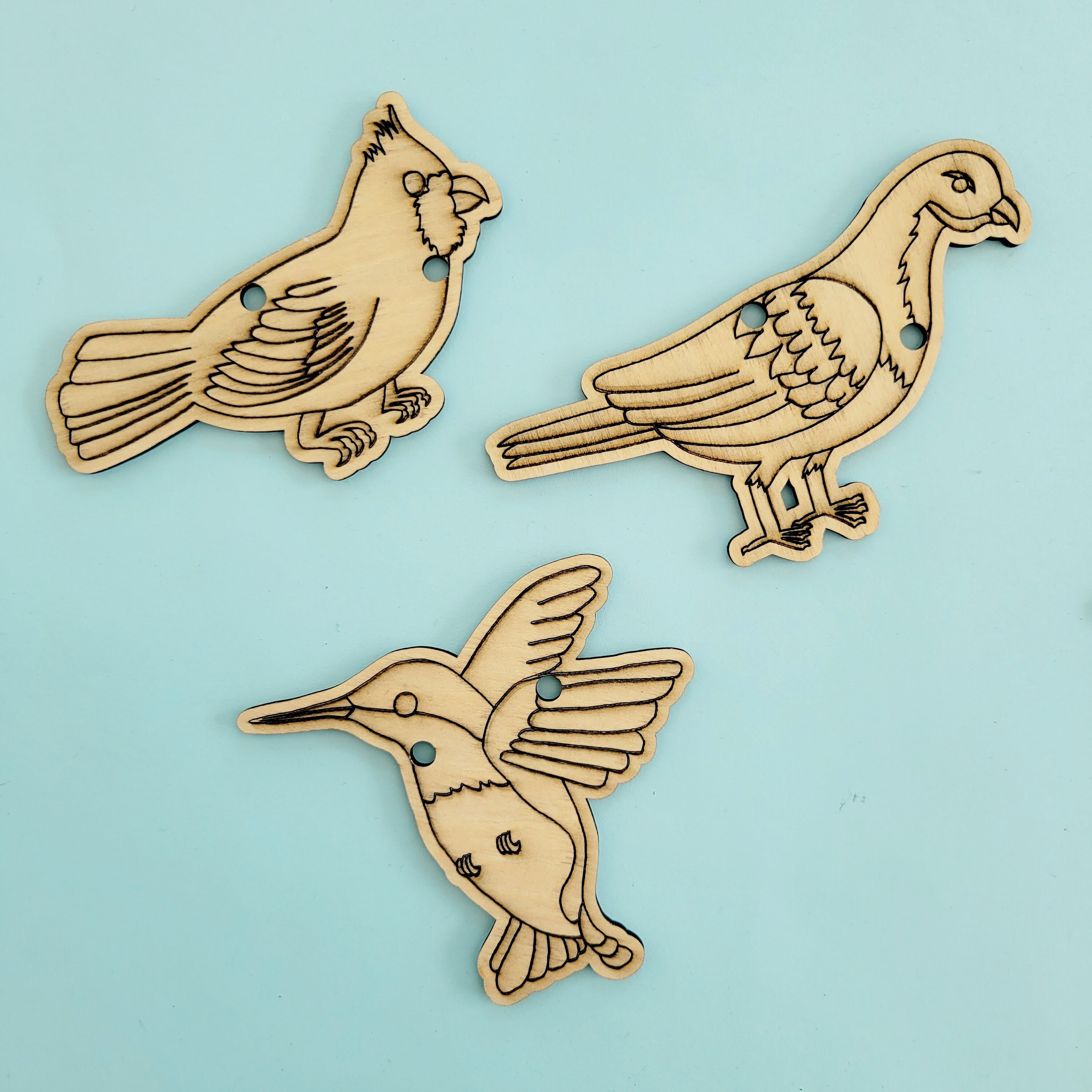 DIY Backyard Birds Educational Wood Garland Craft hand Drawn Paint and ...