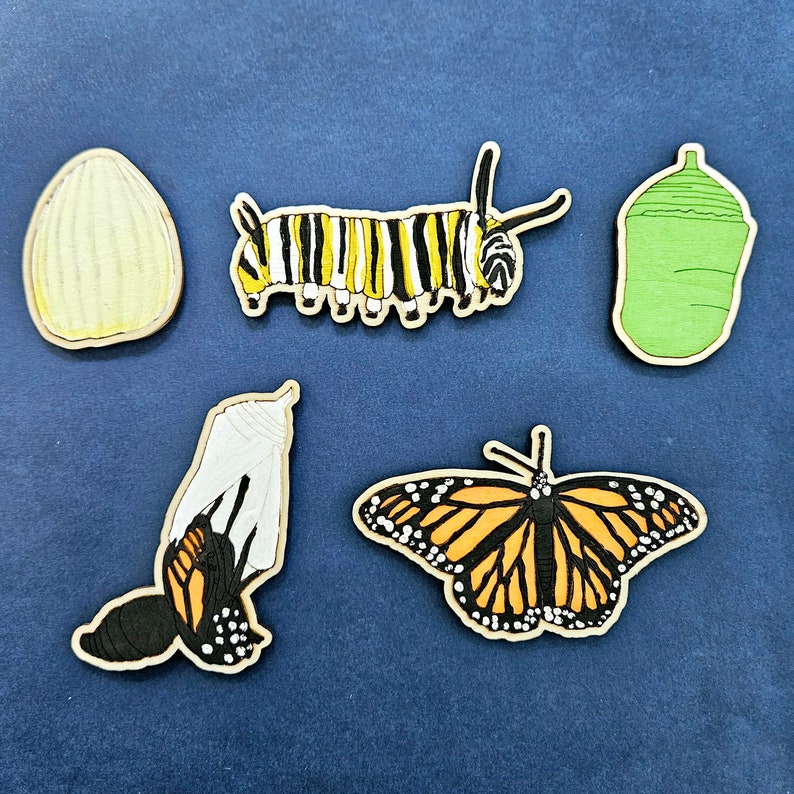 Monarch Butterfly Lifecycle, Sensory Play Shapes hand Drawn - Etsy