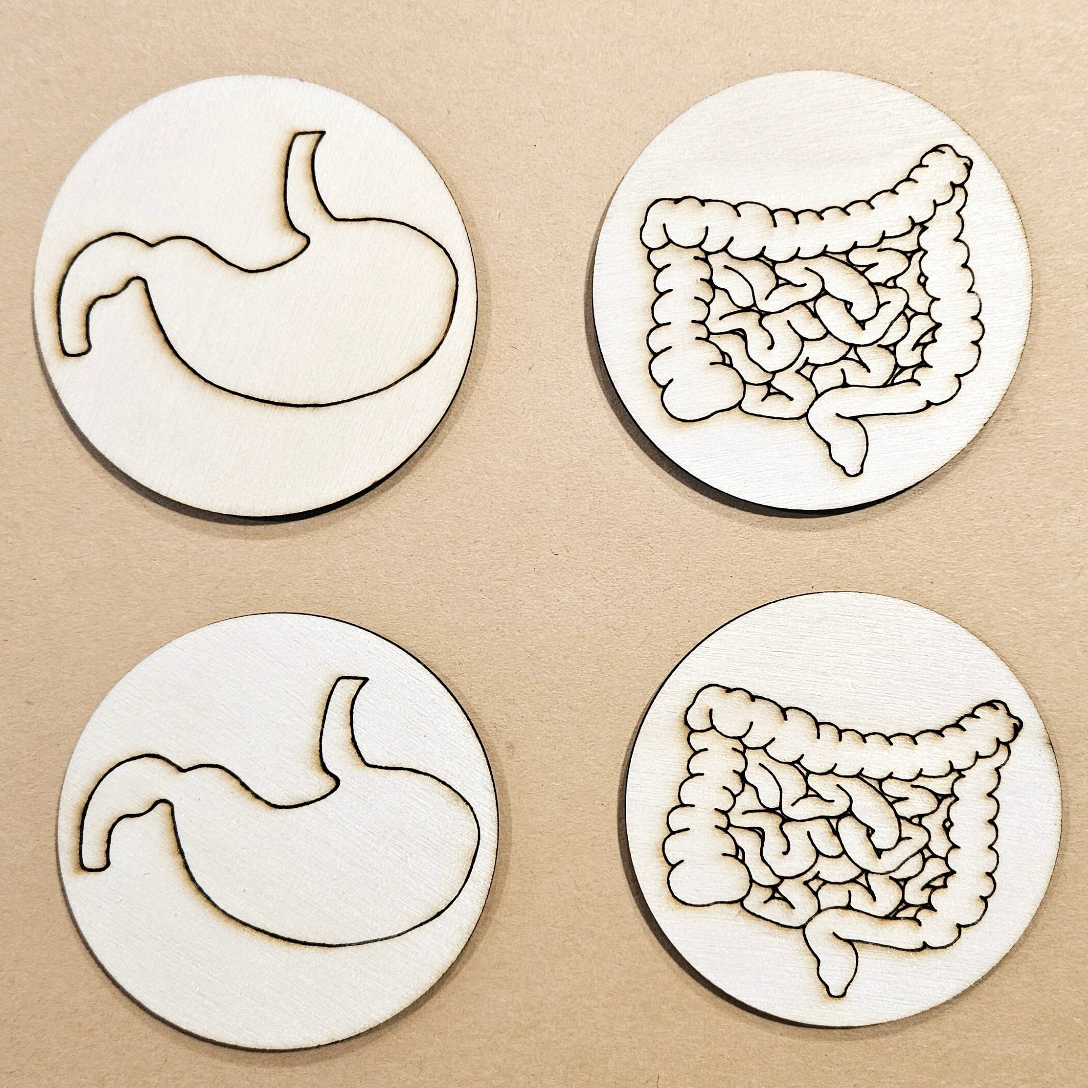 DIY Human Body Matching Craft hand Drawn Organs - Etsy