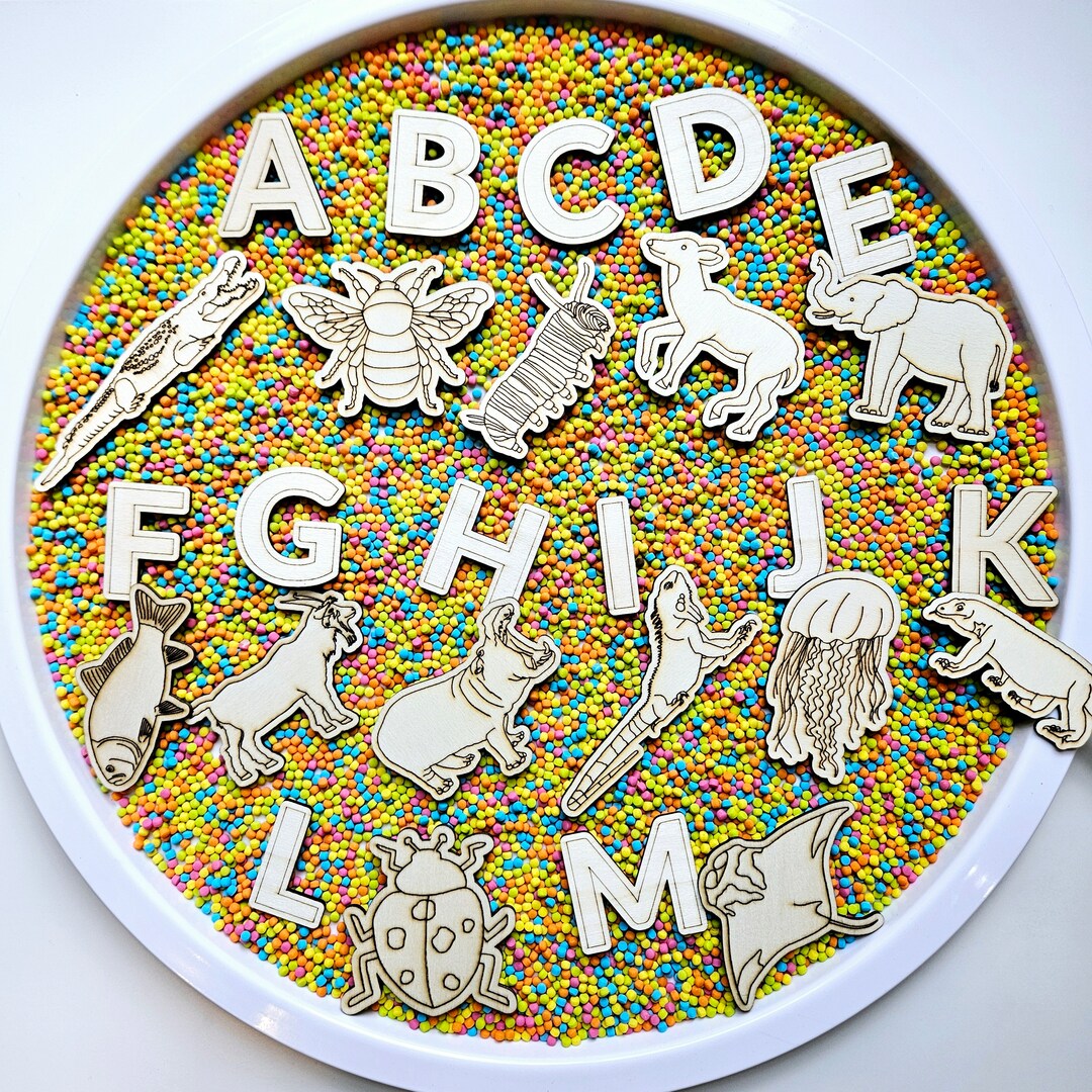 Letter Sound Animal Matching Game (hand Drawn) - Etsy