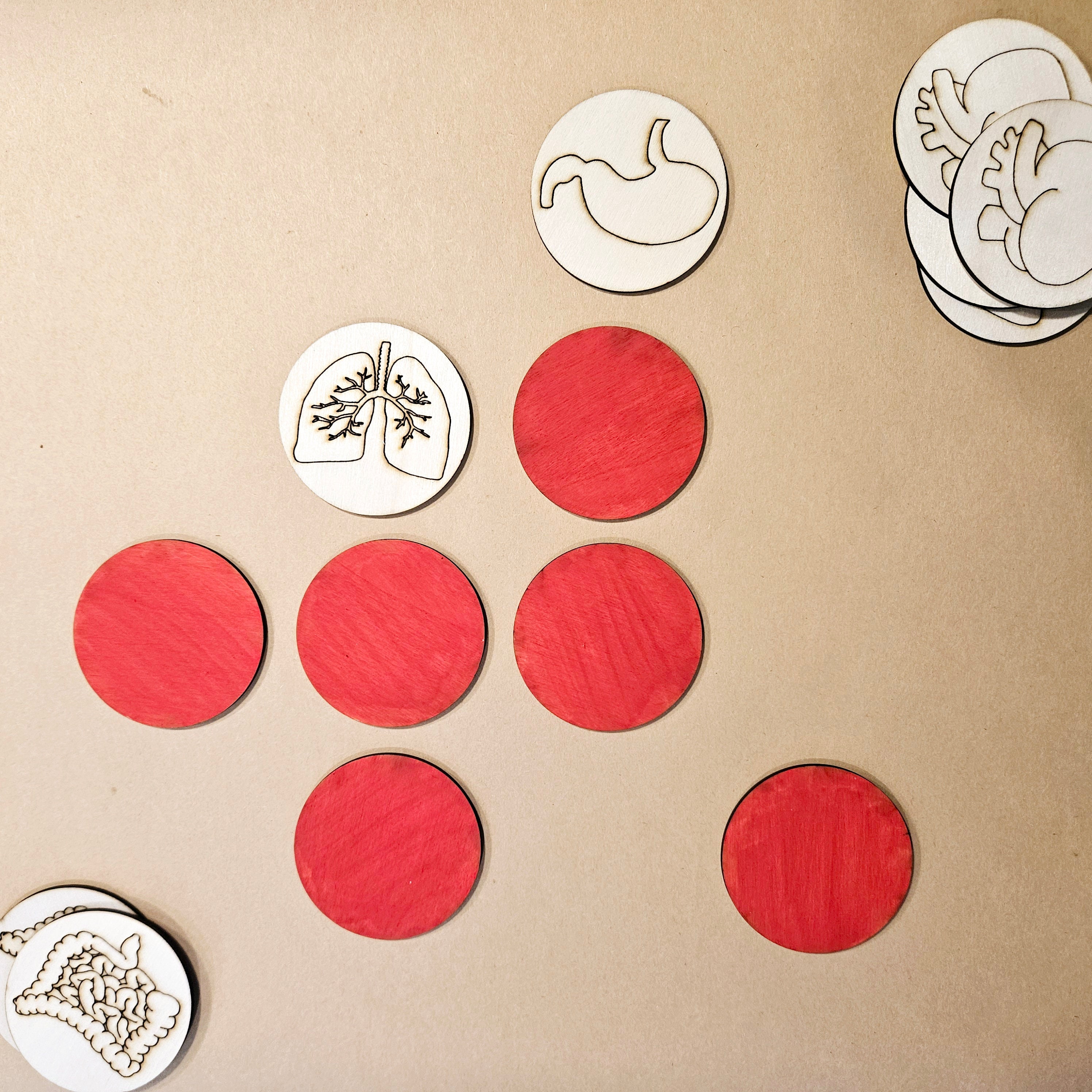 DIY Human Body Matching Craft hand Drawn Organs - Etsy