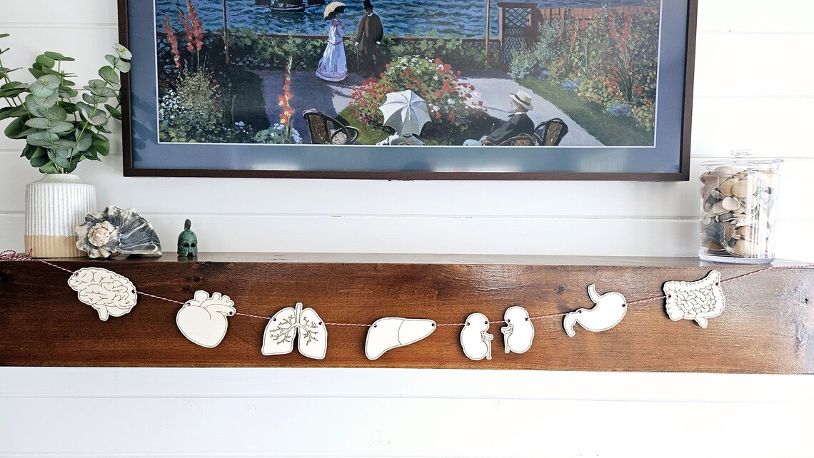 DIY Human Organs Educational Wood Garland Craft (hand Drawn)- Paint and ...