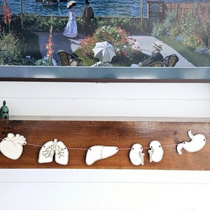 DIY Human Organs Educational Wood Garland Craft (hand Drawn)- Paint and ...